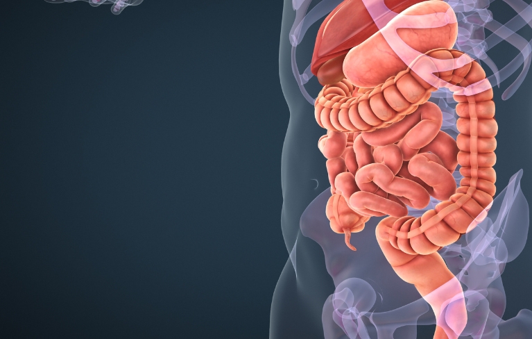 Oncologia Gastrointestinal - Dr. Pedro Uson - Médico Oncologista